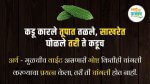 Marathi Mhani With Meaning | Marathi Mhani List